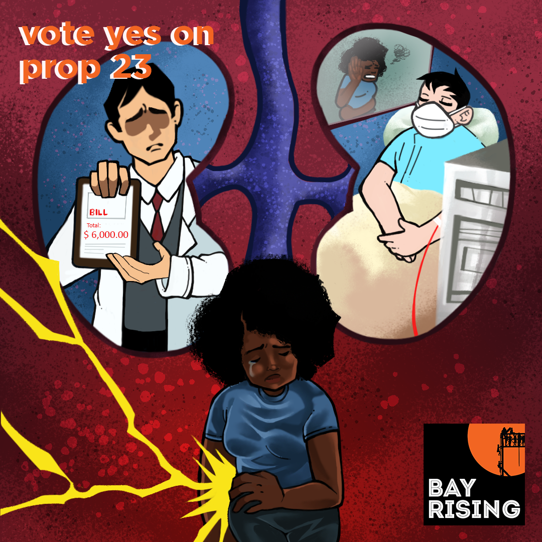 Bay Rising | 2020 VOTER GUIDE: CALIFORNIA - Bay Rising